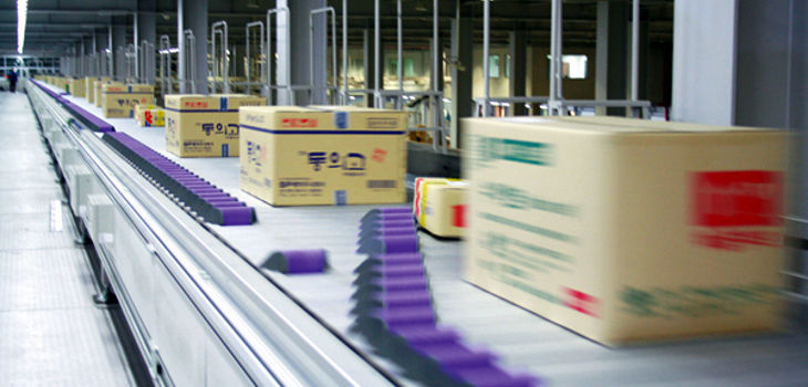 Automatic sorter - DAIFUKU - box / case / sliding shoe