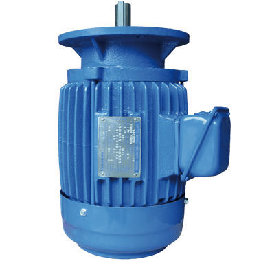 Induction motor - AEVH - Varitron Eng. (Taiwan) Co. Ltd - three-phase ...