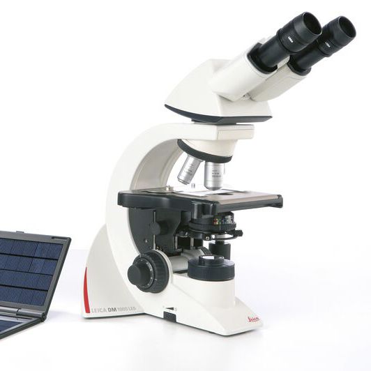 Optical microscope - DM1000 LED - Leica Microsystems GmbH - laboratory ...