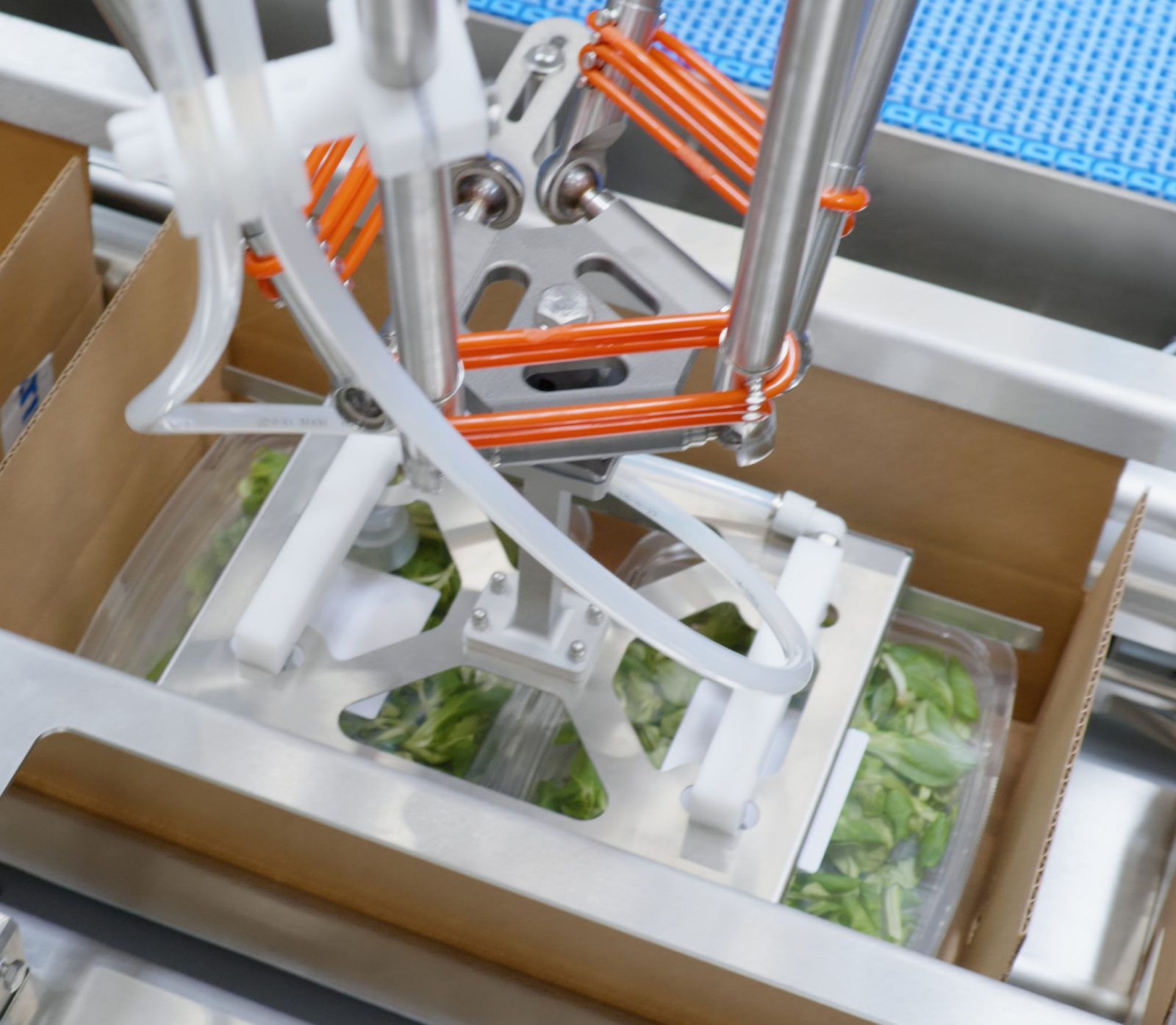 Loading system for the food industry - MULTIVAC Group - robotic