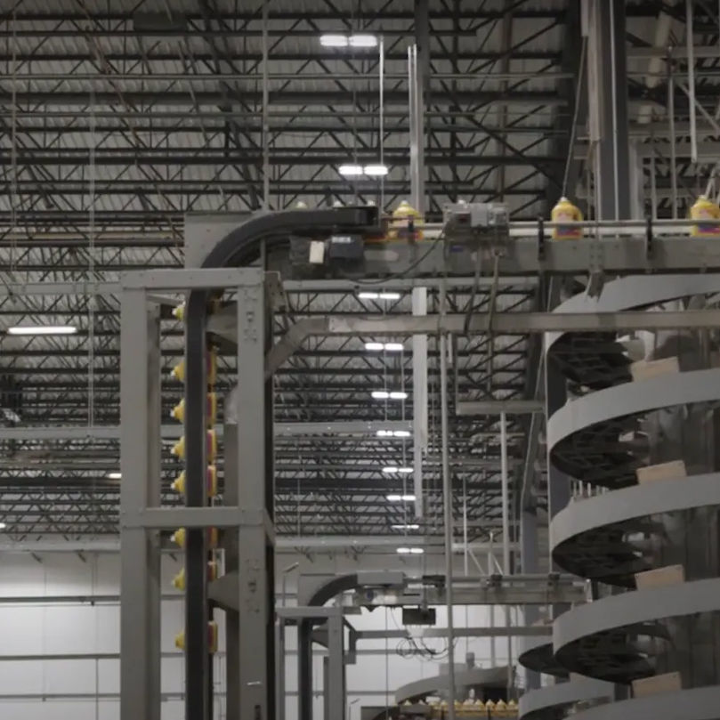 Visualization software - Proficy Plant Applications - General Electric - data management / SCADA ...