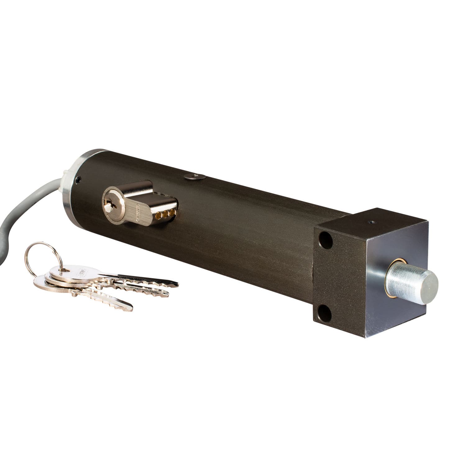 Electromagnetic interlock device - VAMF - PERJES - security / rod