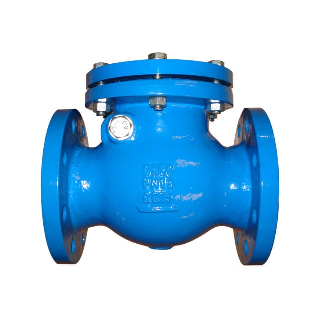 Ball check valve - 890 series - VIR - swing / cast iron