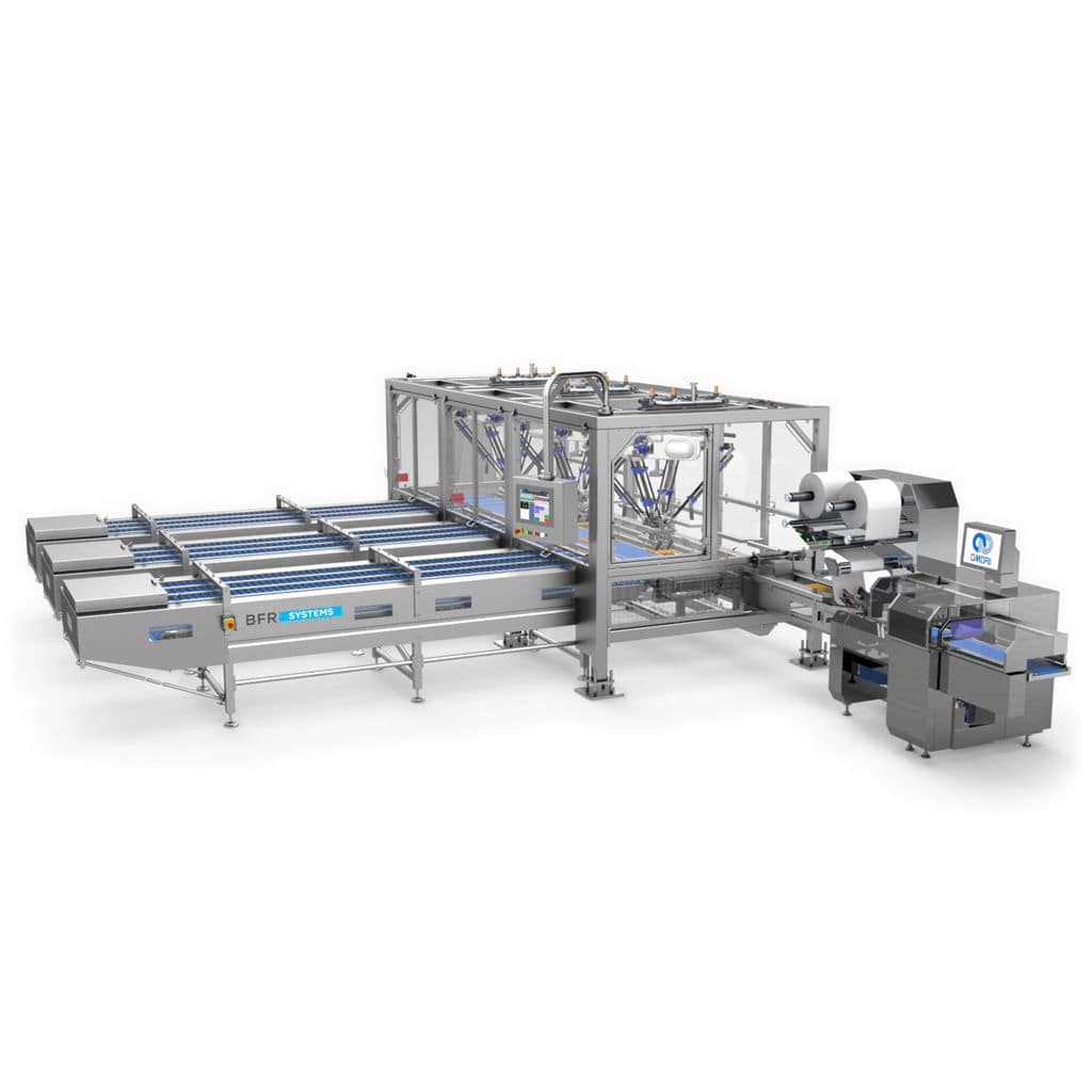 Delta robot - BFR Systems - loading / for the food industry