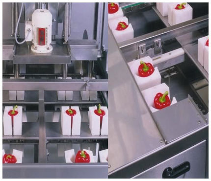 Bell pepper coring machine - Finis Foodprocessing Equipment B.V.