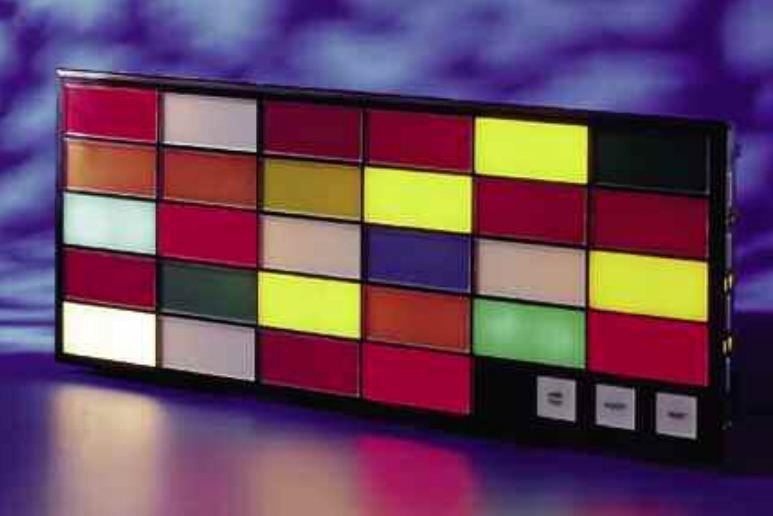 Hazardous area alarm display panel - DFR30IS - RTK