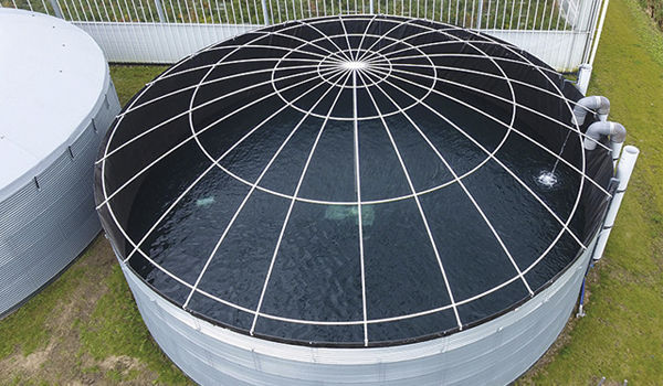 Water storage tank cover - SiloDome - Albers Alligator - plastic