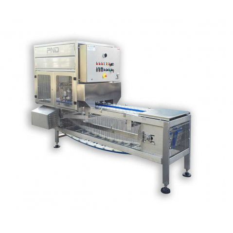 Fruit slicing machine - DF12 - DF24 - PND Fruit Processing Machinery ...