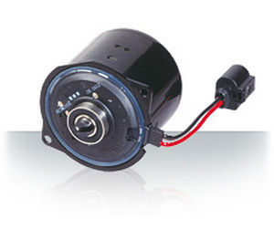 Synchronous motor - EVP - NIDEC MOTORS & ACTUATORS - DC / 110 V / 4-pole