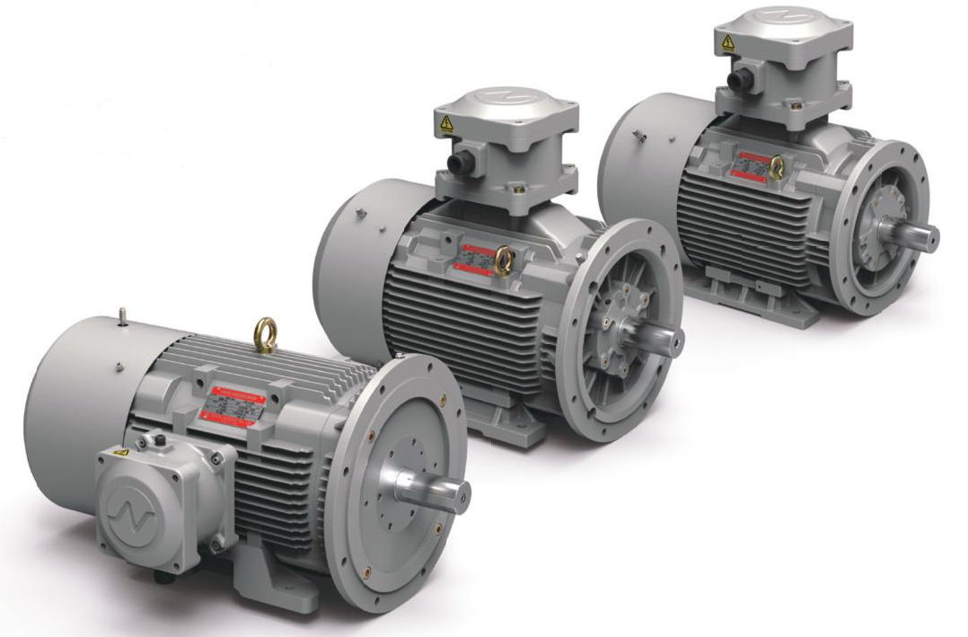 Induction motor - Shidae Electric Co.,Ltd. - three-phase / ATEX / IECEx