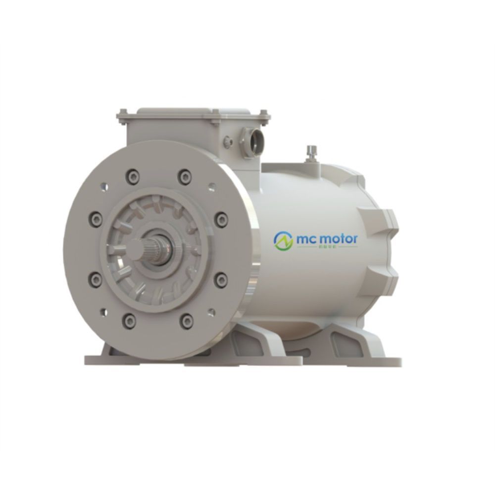 Synchronous motor - SRPM165H4XO90 - MC MOTOR TECHNOLOGY CO., LTD - AC ...
