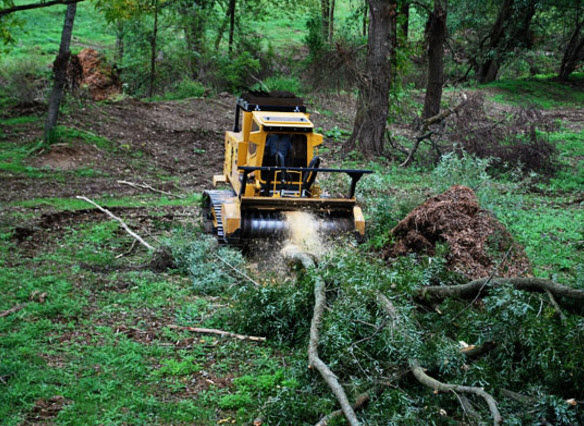 Forestry mulcher - 360hp (269kW) | T360 - RAYCO