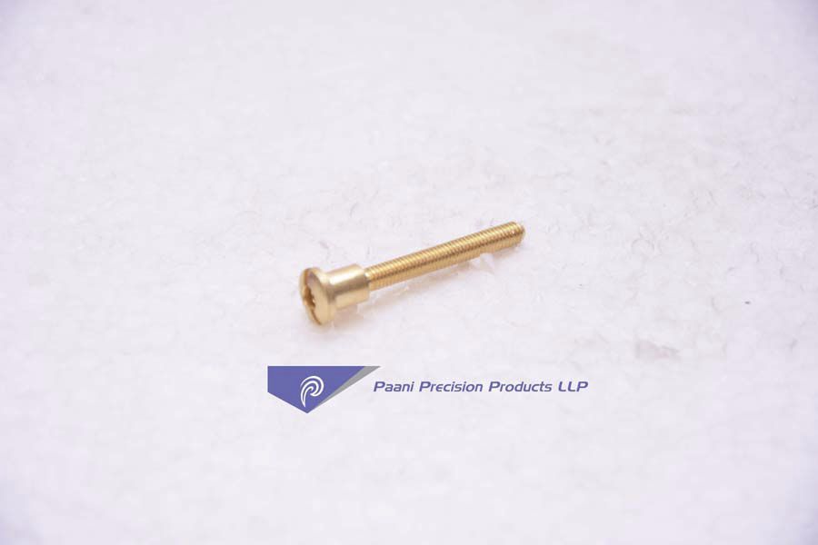 Pan head screw - Paani Precision Products LLP - socket head / slotted ...