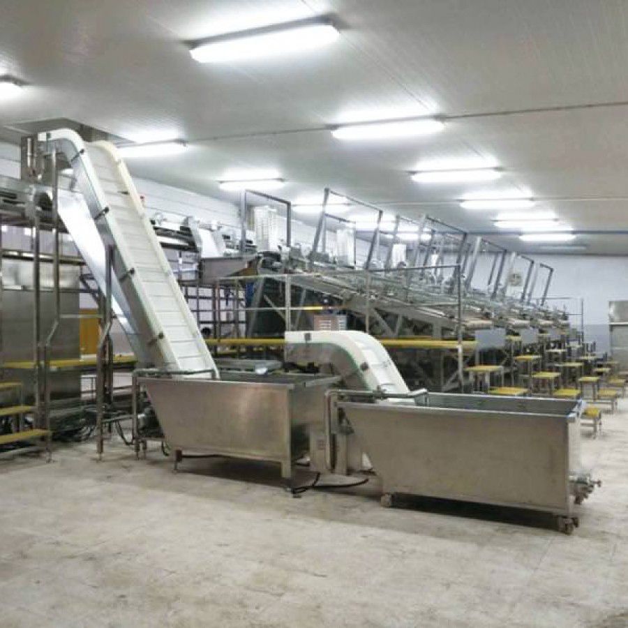 Shrimp processing line - SPP-I - Wolfking