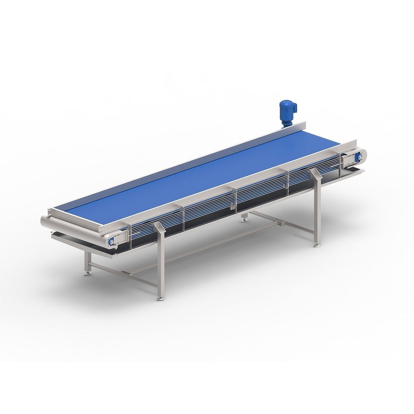 Vegetable inspection table - EIMA Engineering GmbH - for potatoes