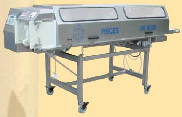 Salmon filleting machine - FR 9000 MK IV - Pisces Fish Machinery Inc.