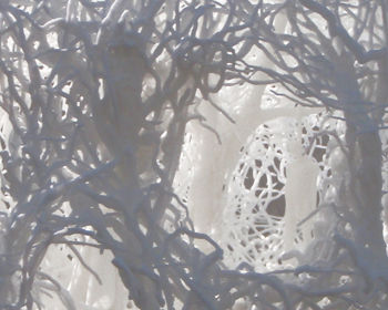 Polyamide 3D printing - SLS ® HD - INITIAL - SLS / prototyping