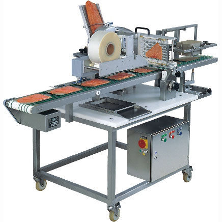 Salmon slicing machine - SM 3029 - Salmco - fully-automatic / multi-angle