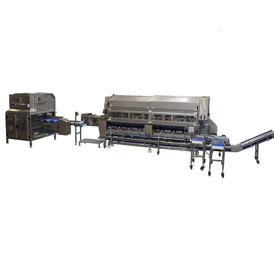 Watermelon chunking-slicing machine - WML5 - ABL srl - automatic