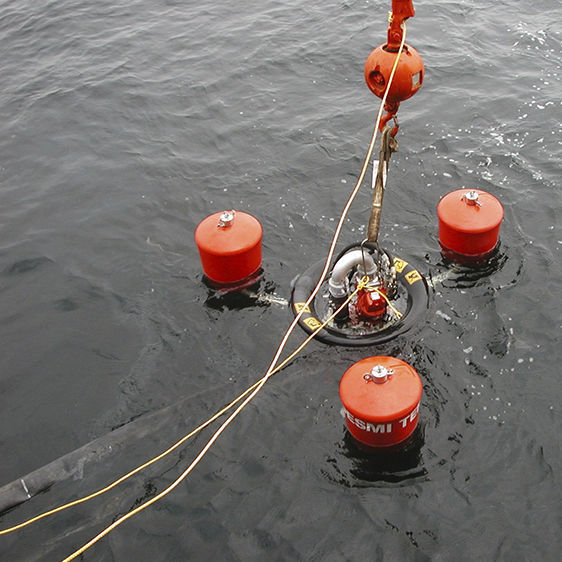 Oil skimmer - Termite - DESMI Pumping Technology A/S - stainless steel