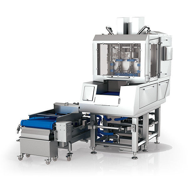 Fish brine injector machine - PI, MC2R PI series - Günther Maschinenbau ...