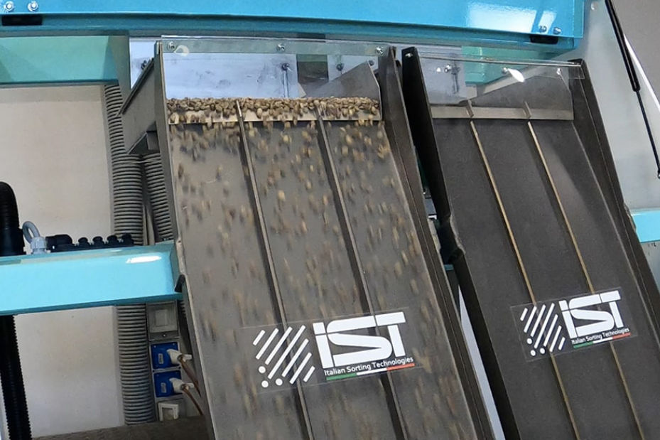 Sorting unit for the food industry - I.S.T. ITALIAN SORTING ...