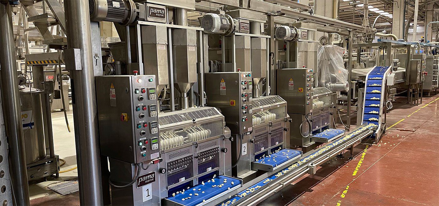 Orecchiette pasta production line - PAMA ROMA - fresh / with drying ...