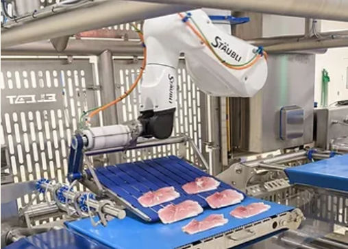 Articulated robot - ELCAT FOOD TECHNOLOGY - pick-and-place / loading ...