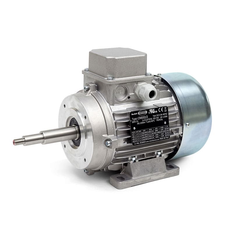 Induction motor - CR - MOTORI BONORA SPA - AC / IE3 / for vacuum pumps
