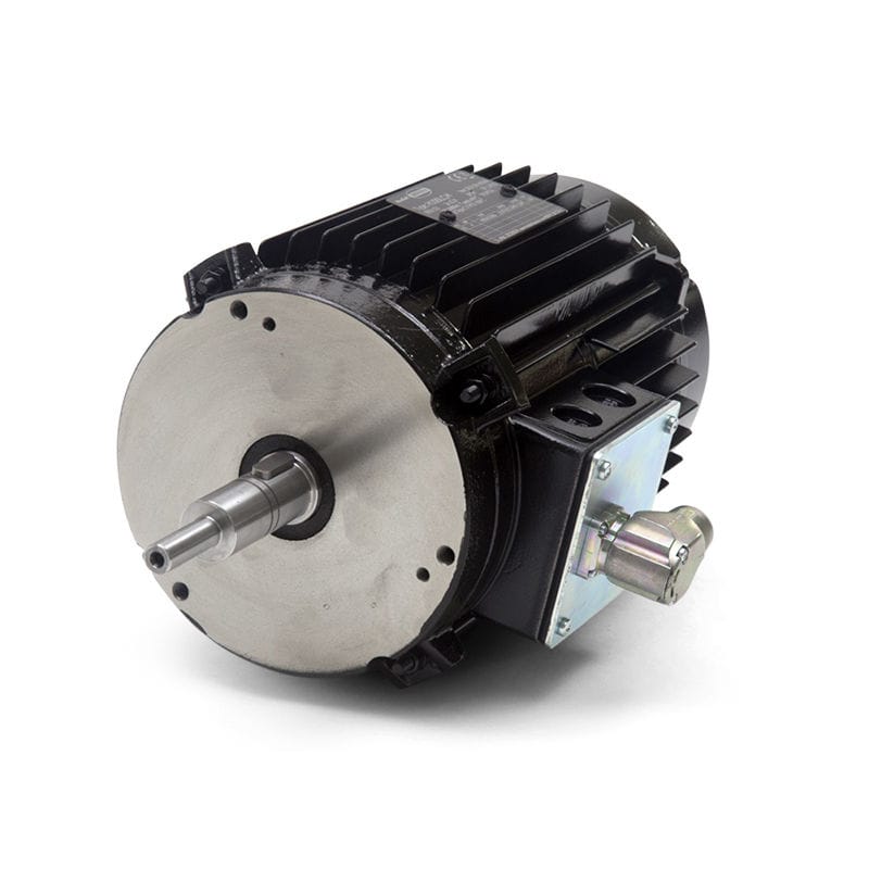 Induction motor - MOTORI BONORA SPA - AC / with cast iron flange ...