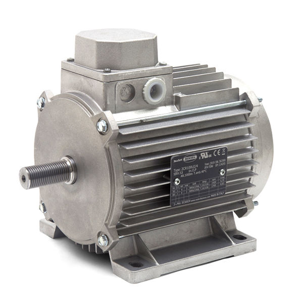 Induction motor - MOTORI BONORA SPA - AC / compact / high-torque