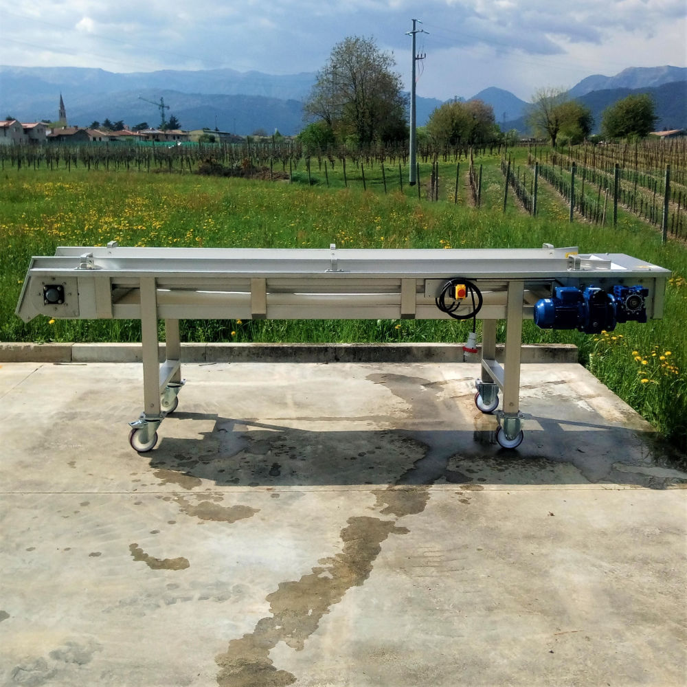 Sorting table for the food industry - TCO - Favrin S.r.l. - for grapes