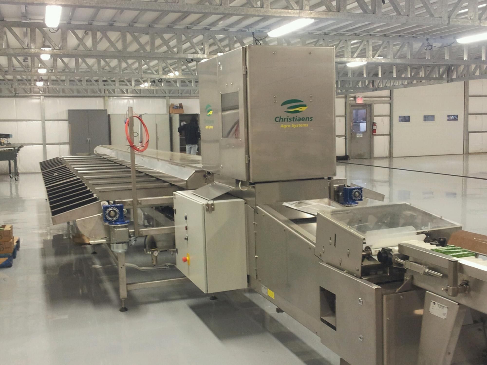 Cucumber grading machine - Christiaens Agro Systems B.V