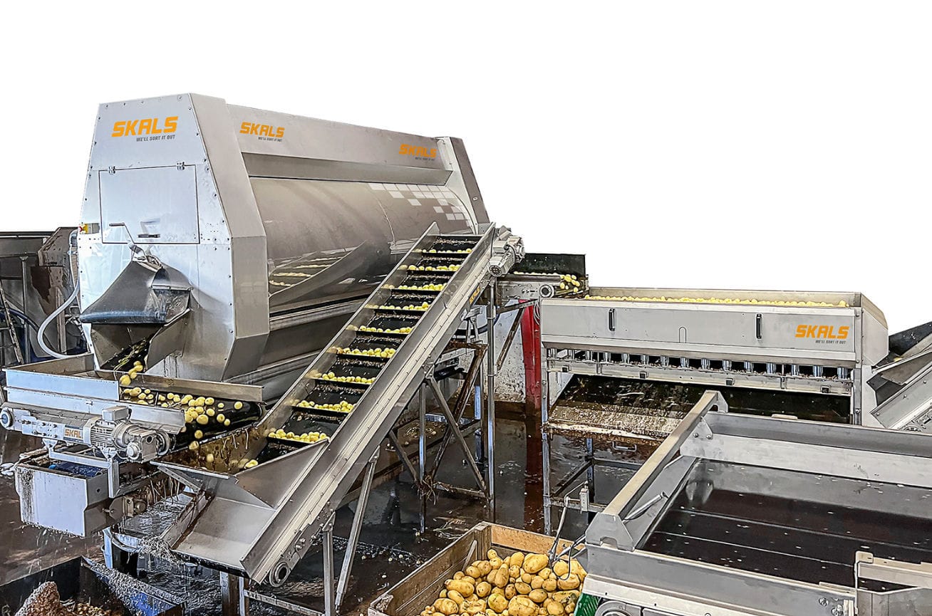 Potato washing machine - WP series - SKALS - belt / drum / brush