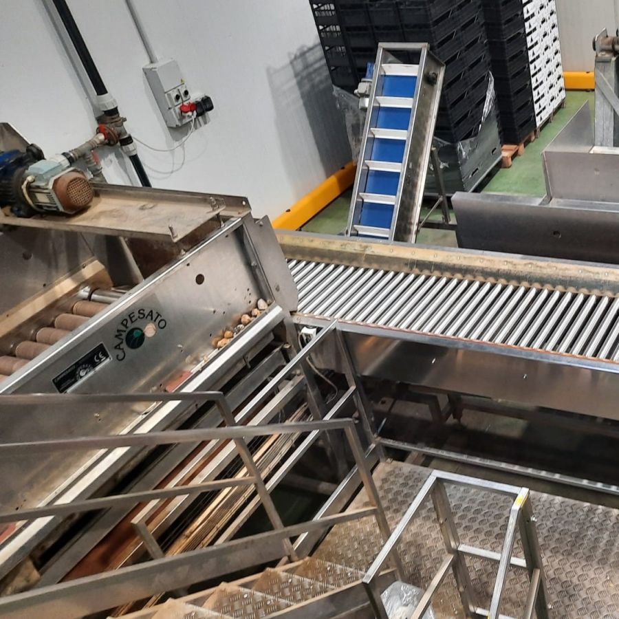 Potato processing line - Alutec Food CAMPESATO®