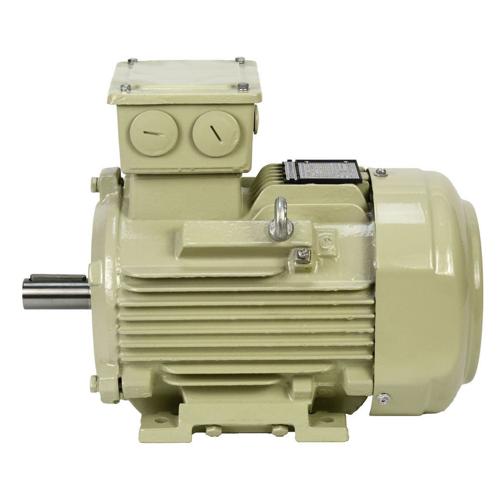 Asynchronous motor - MOTOVARIO - AC / IP55 / IP66