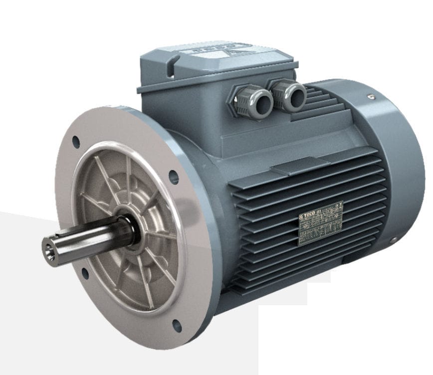 Asynchronous motor - AERV - MOTOVARIO - 220 V / 690 V / IP55