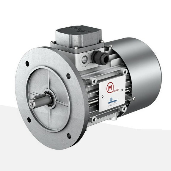 Asynchronous brake motor - T series - MOTOVARIO - three-phase / direct ...