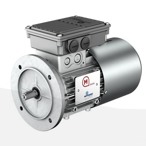 Asynchronous motor - S - MOTOVARIO - single-phase / IP55 / 4-pole
