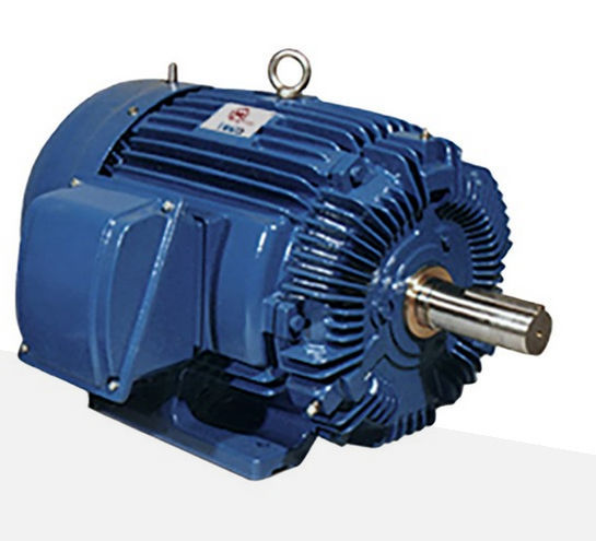 Asynchronous motor - MOTOVARIO - AC / TEFC / industrial