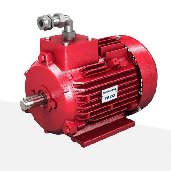 Asynchronous motor - Smokespill - MOTOVARIO - AC / IE3 / IE2
