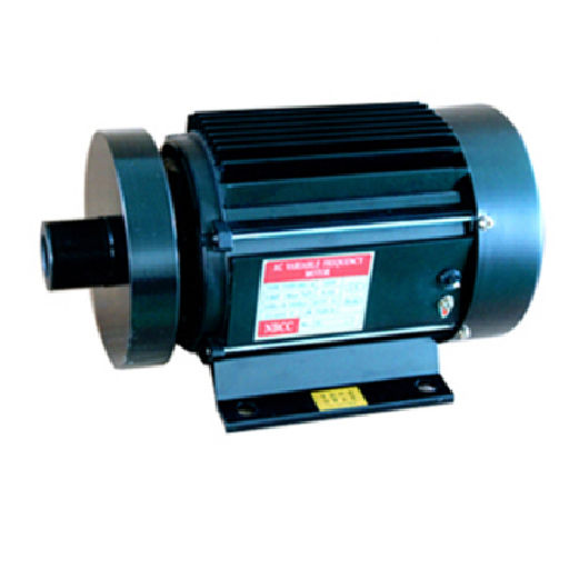 Asynchronous motor - Ningbo BG Motor Factory - three-phase / 220 V ...
