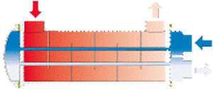 Shell and tube evaporator - BCF/CCF - Funke - process / gas