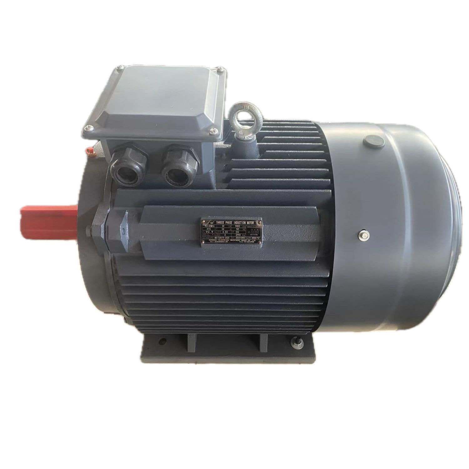 NEMA motor - H3N 447TS-2 T228 - Shanghai Electric Heavy Machinery Co ...