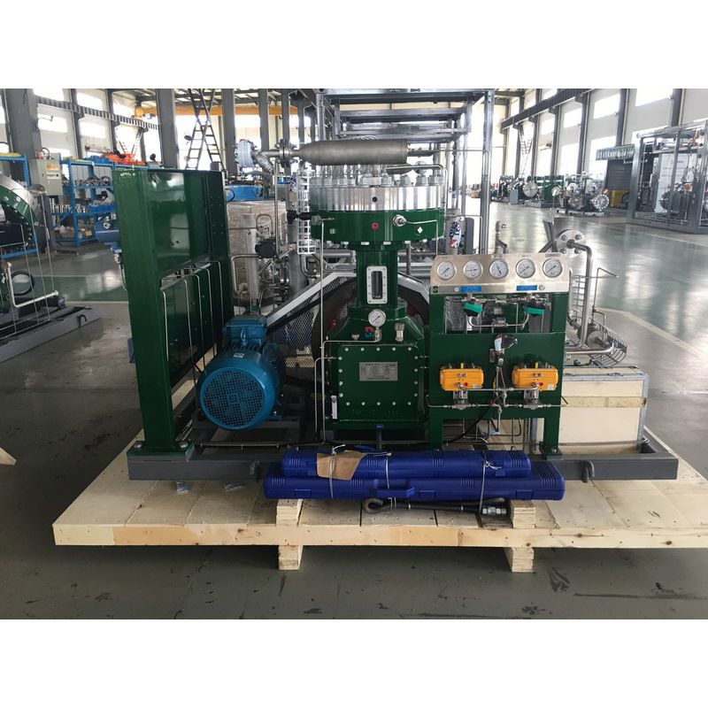 Diaphragm compressor - G series - Wenling Toplong Electrical ...