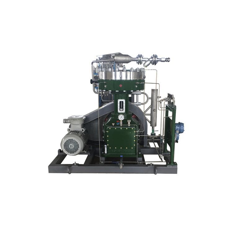 Diaphragm compressor - G series - Wenling Toplong Electrical ...