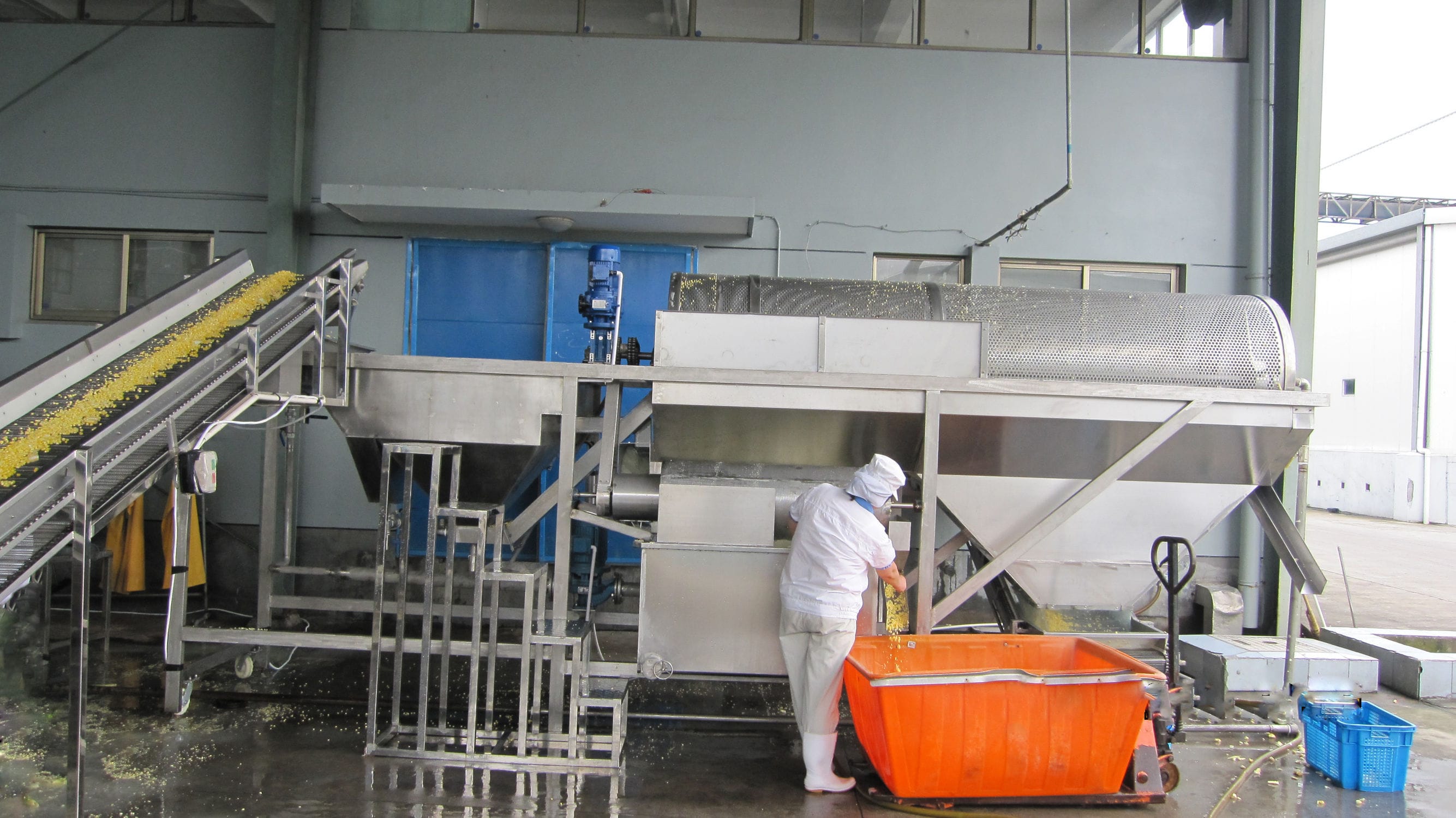 Corn washing machine - YXJ - SHAOXING WALLEY FOOD MACHINERY CO., LTD ...