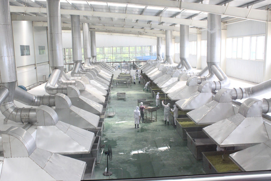 Vegetable dryer - HGX Series - SHAOXING WALLEY FOOD MACHINERY CO., LTD.
