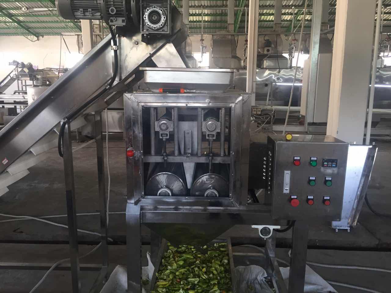 Bell pepper pitting machine - TJP - SHAOXING WALLEY FOOD MACHINERY CO ...