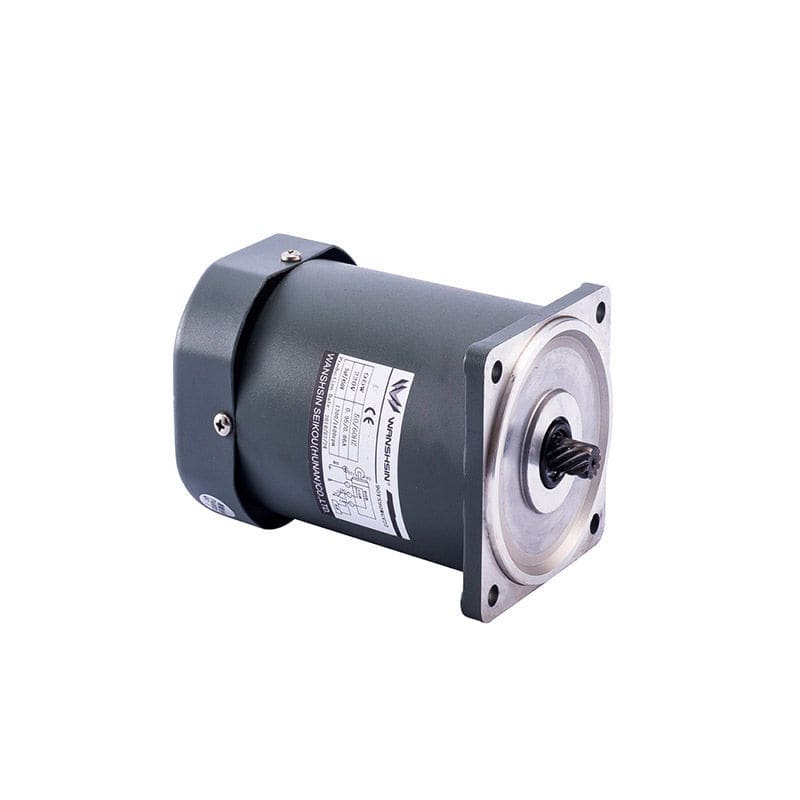 Variable-speed motor - 60YR06GV11 - WANSHSIN SEIKOU (HUNAN) CO., LTD ...